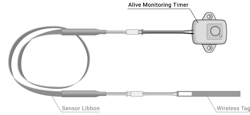 Alive Monitoring Timer – Optional Product – ABLIC Inc.